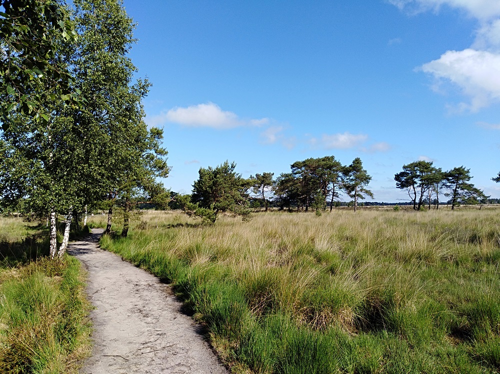 VOS Travel | Blog | Wandelvakanties in de kijker